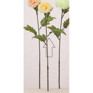 &nbsp;メーカー&nbsp;ASCA アスカ&nbsp;商品カテゴリ&nbsp;フラワー・観葉植物＞造花&nbsp;発送目安&nbsp;2日〜3日以内に発送予定（土日祝除）&nbsp;お支払方法&nbsp;銀行振込・クレジットカード&n...