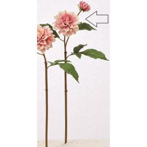 &nbsp;メーカー&nbsp;ASCA アスカ&nbsp;商品カテゴリ&nbsp;フラワー・観葉植物＞造花&nbsp;発送目安&nbsp;2日〜3日以内に発送予定（土日祝除）&nbsp;お支払方法&nbsp;銀行振込・クレジットカード&n...
