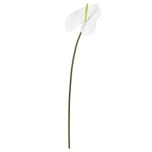 &nbsp;メーカー&nbsp;ASCA アスカ&nbsp;商品カテゴリ&nbsp;フラワー・観葉植物＞造花&nbsp;発送目安&nbsp;2日〜3日以内に発送予定（土日祝除）&nbsp;お支払方法&nbsp;銀行振込・クレジットカード&n...