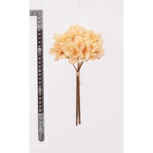 &nbsp;メーカー&nbsp;ASCA アスカ&nbsp;商品カテゴリ&nbsp;フラワー・観葉植物＞造花&nbsp;発送目安&nbsp;2日〜3日以内に発送予定（土日祝除）&nbsp;お支払方法&nbsp;銀行振込・クレジットカード&n...