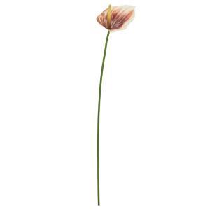 &nbsp;メーカー&nbsp;ASCA アスカ&nbsp;商品カテゴリ&nbsp;フラワー・観葉植物＞造花&nbsp;発送目安&nbsp;2日〜3日以内に発送予定（土日祝除）&nbsp;お支払方法&nbsp;銀行振込・クレジットカード&n...