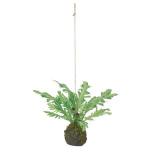 &nbsp;メーカー&nbsp;ASCA アスカ&nbsp;商品カテゴリ&nbsp;フラワー・観葉植物＞造花&nbsp;発送目安&nbsp;2日〜3日以内に発送予定（土日祝除）&nbsp;お支払方法&nbsp;銀行振込・クレジットカード&n...
