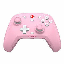 &nbsp;メーカー&nbsp;GameSir&nbsp;商品カテゴリ&nbsp;レガシーシステム＞任天堂システム&nbsp;発送目安&nbsp;1週間以内に発送予定&nbsp;お支払方法&nbsp;銀行振込・クレジットカード&nbsp;送...