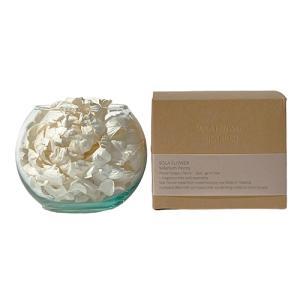 &nbsp;メーカー&nbsp;三和トレーディング&nbsp;商品カテゴリ&nbsp;ドライ・プリザーブドフラワー＞ドライフラワー&nbsp;発送目安&nbsp;1週間以内に発送予定&nbsp;お支払方法&nbsp;銀行振込・クレジットカー...