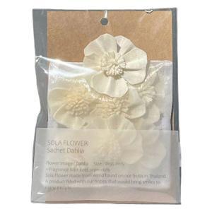 &nbsp;メーカー&nbsp;三和トレーディング&nbsp;商品カテゴリ&nbsp;フラワー・観葉植物＞フラワーアレンジメント&nbsp;発送目安&nbsp;1週間以内に発送予定&nbsp;お支払方法&nbsp;銀行振込・クレジットカード...