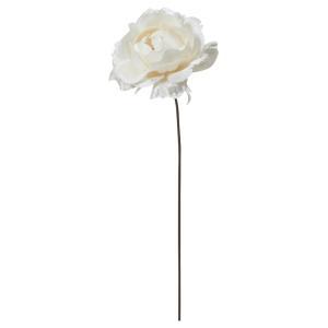 &nbsp;メーカー&nbsp;ASCA アスカ&nbsp;商品カテゴリ&nbsp;フラワー・観葉植物＞造花&nbsp;発送目安&nbsp;2日〜3日以内に発送予定（土日祝除）&nbsp;お支払方法&nbsp;銀行振込・クレジットカード&n...