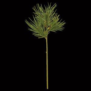 &nbsp;メーカー&nbsp;ASCA アスカ&nbsp;商品カテゴリ&nbsp;フラワー・観葉植物＞造花&nbsp;発送目安&nbsp;2日〜3日以内に発送予定（土日祝除）&nbsp;お支払方法&nbsp;銀行振込・クレジットカード&n...