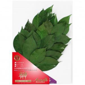 &nbsp;メーカー&nbsp;A&K&nbsp;商品カテゴリ&nbsp;ドライ・プリザーブドフラワー＞プリザーブドフラワー&nbsp;発送目安&nbsp;1〜2週間以内に発送予定&nbsp;お支払方法&nbsp;銀行振込・クレジットカード...