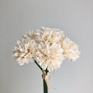 &nbsp;メーカー&nbsp;ASCA アスカ&nbsp;商品カテゴリ&nbsp;フラワー・観葉植物＞造花&nbsp;発送目安&nbsp;2日〜3日以内に発送予定（土日祝除）&nbsp;お支払方法&nbsp;銀行振込・クレジットカード&n...