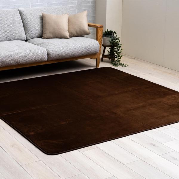 &nbsp;メーカー&nbsp;イケヒコ&nbsp;商品カテゴリ&nbsp;ラグ・カーペット・マット＞カーペット&nbsp;発送目安&nbsp;2日〜3日以内に発送予定（土日祝除）&nbsp;お支払方法&nbsp;銀行振込・クレジットカード...