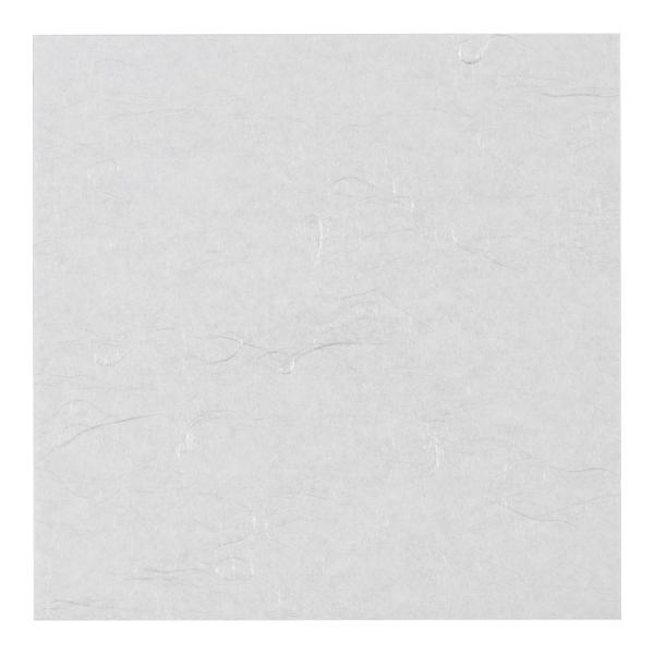 &nbsp;メーカー&nbsp;ARTEC&nbsp;商品カテゴリ&nbsp;エプロン・キッチンファブリック＞ランチョンマット&nbsp;発送目安&nbsp;2日〜3日以内に発送予定（土日祝除）&nbsp;お支払方法&nbsp;銀行振込・ク...