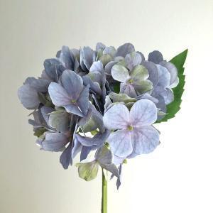 &nbsp;メーカー&nbsp;ASCA アスカ&nbsp;商品カテゴリ&nbsp;フラワー・観葉植物＞造花&nbsp;発送目安&nbsp;2日〜3日以内に発送予定（土日祝除）&nbsp;お支払方法&nbsp;銀行振込・クレジットカード&n...