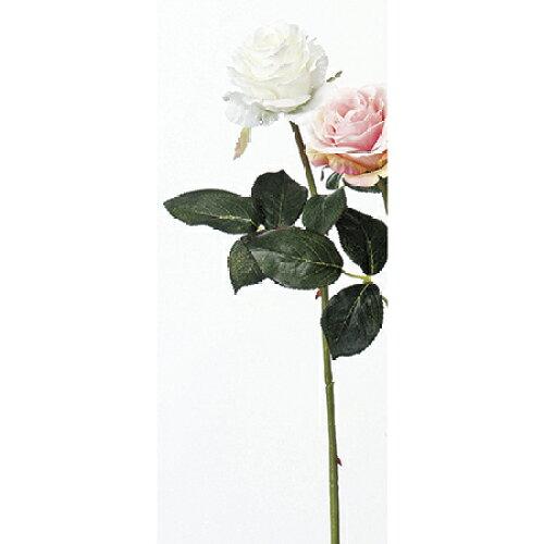&nbsp;メーカー&nbsp;ASCA アスカ&nbsp;商品カテゴリ&nbsp;フラワー・観葉植物＞造花&nbsp;発送目安&nbsp;2日〜3日以内に発送予定（土日祝除）&nbsp;お支払方法&nbsp;銀行振込・クレジットカード&n...