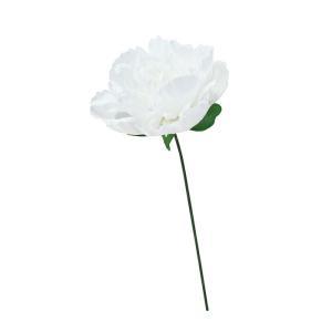 &nbsp;メーカー&nbsp;ASCA アスカ&nbsp;商品カテゴリ&nbsp;フラワー・観葉植物＞造花&nbsp;発送目安&nbsp;2日〜3日以内に発送予定（土日祝除）&nbsp;お支払方法&nbsp;銀行振込・クレジットカード&n...