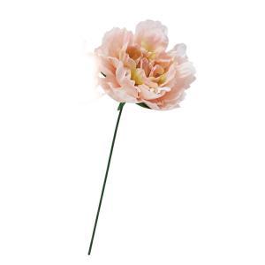 &nbsp;メーカー&nbsp;ASCA アスカ&nbsp;商品カテゴリ&nbsp;フラワー・観葉植物＞造花&nbsp;発送目安&nbsp;2日〜3日以内に発送予定（土日祝除）&nbsp;お支払方法&nbsp;銀行振込・クレジットカード&n...