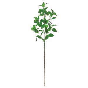 &nbsp;メーカー&nbsp;ASCA アスカ&nbsp;商品カテゴリ&nbsp;フラワー・観葉植物＞造花&nbsp;発送目安&nbsp;2日〜3日以内に発送予定（土日祝除）&nbsp;お支払方法&nbsp;銀行振込・クレジットカード&n...