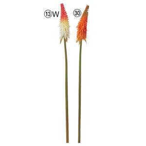 &nbsp;メーカー&nbsp;ASCA アスカ&nbsp;商品カテゴリ&nbsp;フラワー・観葉植物＞造花&nbsp;発送目安&nbsp;2日〜3日以内に発送予定（土日祝除）&nbsp;お支払方法&nbsp;銀行振込・クレジットカード&n...