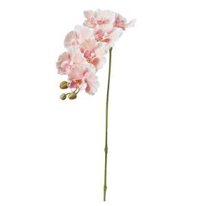 &nbsp;メーカー&nbsp;ASCA アスカ&nbsp;商品カテゴリ&nbsp;フラワー・観葉植物＞造花&nbsp;発送目安&nbsp;2日〜3日以内に発送予定（土日祝除）&nbsp;お支払方法&nbsp;銀行振込・クレジットカード&n...
