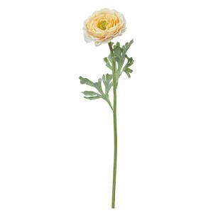 &nbsp;メーカー&nbsp;ASCA アスカ&nbsp;商品カテゴリ&nbsp;フラワー・観葉植物＞造花&nbsp;発送目安&nbsp;2日〜3日以内に発送予定（土日祝除）&nbsp;お支払方法&nbsp;銀行振込・クレジットカード&n...