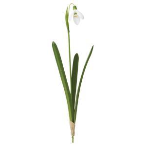 &nbsp;メーカー&nbsp;ASCA アスカ&nbsp;商品カテゴリ&nbsp;フラワー・観葉植物＞造花&nbsp;発送目安&nbsp;2日〜3日以内に発送予定（土日祝除）&nbsp;お支払方法&nbsp;銀行振込・クレジットカード&n...