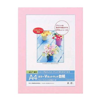 &nbsp;メーカー&nbsp;ナカバヤシ&nbsp;商品カテゴリ&nbsp;写真整理・保管＞スペアアルバム台紙&nbsp;発送目安&nbsp;1〜2週間以内に発送予定&nbsp;お支払方法&nbsp;銀行振込・クレジットカード&nbsp;...