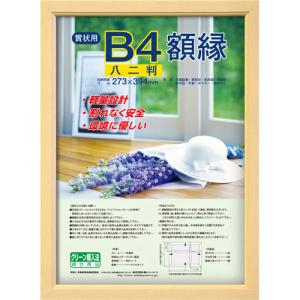 &nbsp;メーカー&nbsp;ナカバヤシ&nbsp;商品カテゴリ&nbsp;事務用品＞賞状額縁&nbsp;発送目安&nbsp;1〜2週間以内に発送予定&nbsp;お支払方法&nbsp;銀行振込・クレジットカード&nbsp;送料&nbsp;...