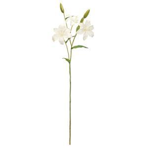 &nbsp;メーカー&nbsp;ASCA アスカ&nbsp;商品カテゴリ&nbsp;フラワー・観葉植物＞造花&nbsp;発送目安&nbsp;2日〜3日以内に発送予定（土日祝除）&nbsp;お支払方法&nbsp;銀行振込・クレジットカード&n...