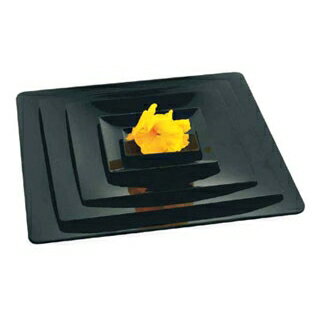 商品の仕様●外寸(mm)：160×160×H11 ●材質：ポリスチレン ●耐熱・耐冷温度：-18〜70℃■● 創造的なコンセプトと美しいデザインで料理や食品の魅力を発揮させるソリアシリーズ● 使い捨てタイプ※商品画像はイメージです。複数掲載...