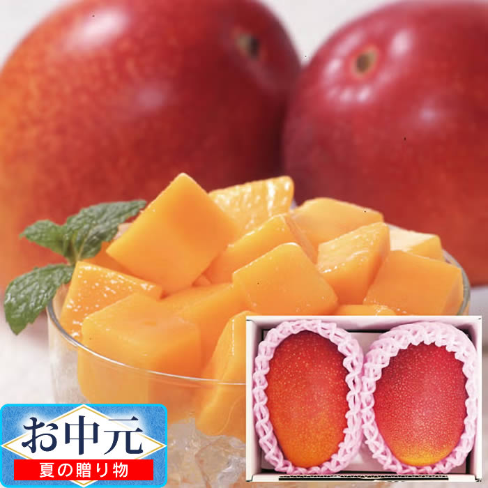 セット内容/合計約700g、2個商品詳細 商品名JAみやざき 宮崎県産 完熟マンゴー メーカー品番/Y15-9C サイズ約幅13.8×奥行19.4×高さ10.2cm セット内容合計約700g、2個 賞味期限- ご注意事項お使いのモニターの性...