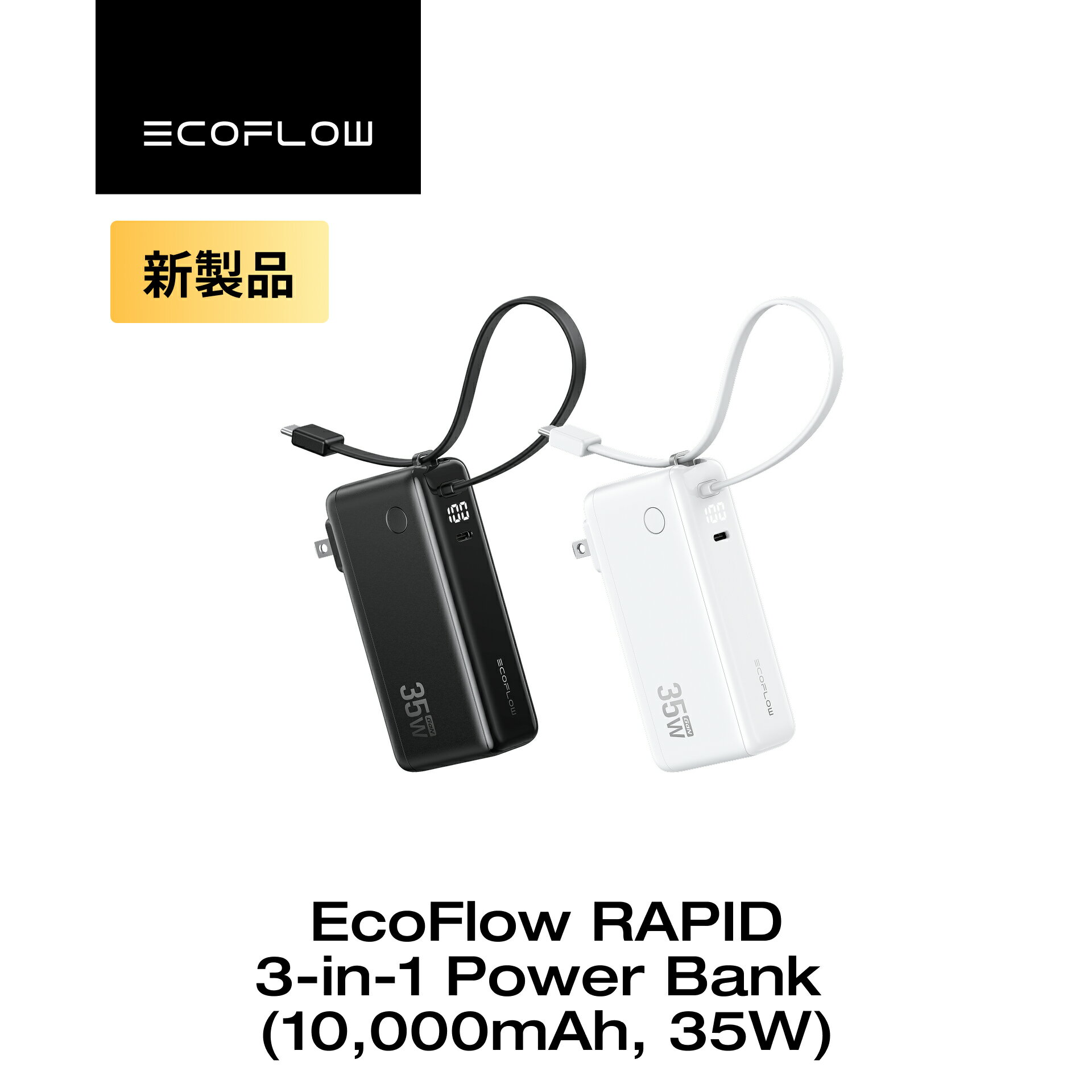 【PSE関連説明】マークの種類:PSEマーク 届出事業者名:EcoFlow Technology Japan株式会社