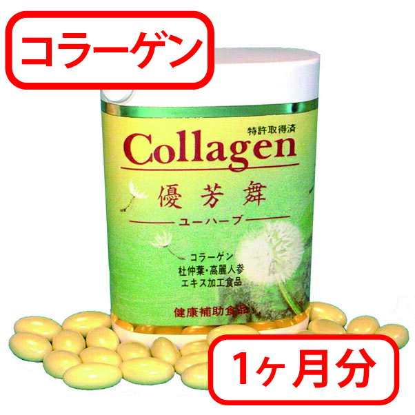 商品説明広告文責（有）エコロ （075）414-2217販売業者名 （有）エコロ 京都市上京区浄福寺通り五辻上ル674区分栄養機能食品 製造国日本製名称サプリメント 成分表示原材料名人参、杜仲葉エキス末、砂糖、コラーゲンペプチド、乳糖、L-...