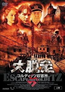 ◆商品説明◆ 商品名 【レンタル落ち 中古 DVD】 難あり（ジャケットに難）【中古】 大脱走 コルディッツ収容所 上巻 [レンタル落ち] [DVD] セット内容 ・ジャケット(破け、水濡れ、汚れ、ヤケ、一部カット等の難がございます。) ・...