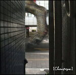 ◆商品説明◆ 商品名 【中古】 I Wanna Go To Hawaii. Alexandros [レンタル落ち] [CD] セット内容 ・ディスク ・歌詞カード ・ケースは付属しません。 曲目 1.? 2.My Blueberry Mor...