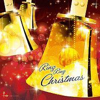 ◆商品説明◆ 商品名 【中古】 ザ・ベスト リング★リング クリスマス リラクゼーション/ヒーリング [レンタル落ち] [CD] セット内容 ・ディスク ・歌詞カード ・ケースは付属しません。 曲目 1.クリスマス・キャロル・フェスI 2....