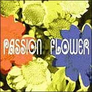 ◆商品説明◆ 商品名 【中古】 Passion Flower T-SQUARE [レンタル落ち] [CD] セット内容 ・ディスク ・歌詞カード ・ケースは付属しません。 曲目 1.ベアフット・ビューティー 2.モア・ザン・レモネード 3....