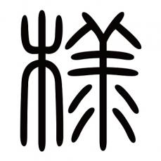 &nbsp;JAN&nbsp;4547366372755&nbsp;品　番&nbsp;SRCL9939&nbsp;出　演&nbsp;Survive Said The Prophet&nbsp;制作年、時間&nbsp;2018年&nbsp;3...