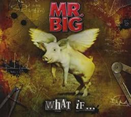 &nbsp;JAN&nbsp;4582213914788&nbsp;品　番&nbsp;IECP10240&nbsp;出　演&nbsp;Mr． Big(ミスター・ビッグ)&nbsp;制作年、時間&nbsp;2011年&nbsp;&nbsp;メ...