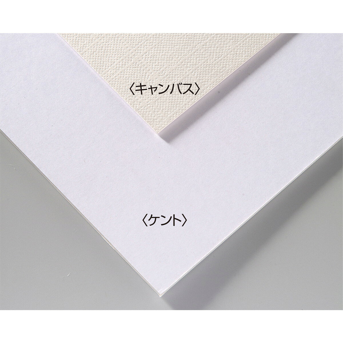 ※こちらの商品は受注発注商品の為、ご注文後4〜7営業日(土日祝日・長期休暇を除く)後の出荷予定となります。※メーカー在庫切れの為7営業日(土日祝日・長期休暇を除く)以内に出荷できない場合はメールにてご案内させていただきます。※受注発注商品の...