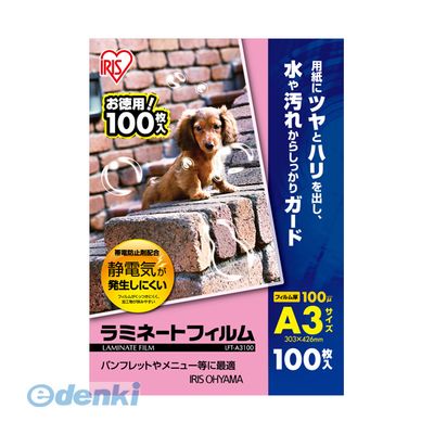 よく一緒に購入されている商品アイリスオーヤマ IRIS LZYA4100 1,476円アイリスオーヤマ0120-211-299【商品説明】■帯電防止加工で、紙がくっつかずセットが簡単。■規格：A3判■外寸：縦426×横303mm■フィルム厚...