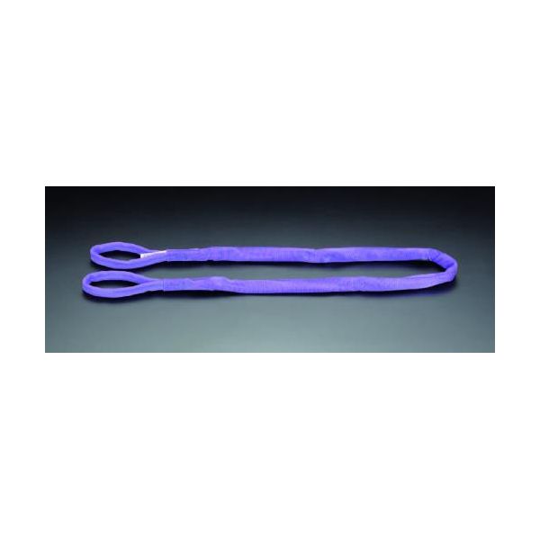 ●側布…ナイロン●芯糸…ポリエステル●幅…40mm●揚量…1.0t●色…紫●全長…4.0m類似商品はこちら エスコ EA981CV-7 直送 代引不可・15,790円 エスコ EA981CV-3 直送 代引不可・8,353円 エスコ EA9...