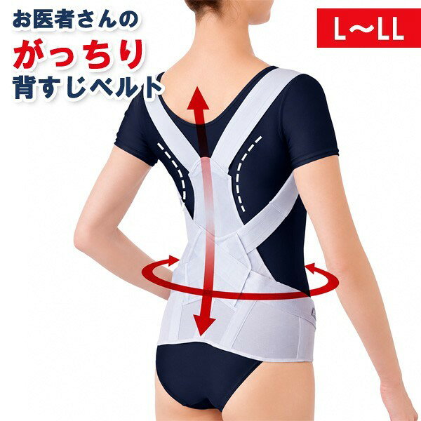 アルファックス06-4792-1193＜お医者さんのがっちり背すじベルト＞● M-Lはこちらこの商品はL-LLです【商品説明】お医者さんのがっちり背すじベルト 男女兼用着用時に背すじを意識しやすい姿勢サポートベルトです。両サイドのベルトでフ...