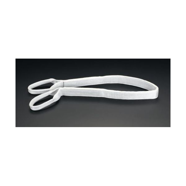 ●酸、アルカリに強い、耐薬品用スリング●材質…ポリプロピレン●幅…50mm●揚量…1.0t●全長…6.0m類似商品はこちら エスコEA981CR-5 直送 代引不可・他12,476円エスコ EA981CR-1 50mmx1．0m6,402円...