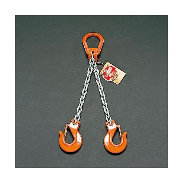 ●使用荷重(t)…0.8●全長(m)…2●フック口開き…23.5mm●重量(kg)…2.46●2本吊●スチール鋳鉄製●マスターリンク付●使用荷重は吊角度0〜60度の時の値です。●吊角度を大きくすると使用荷重は低下します。●スリングフック付き...
