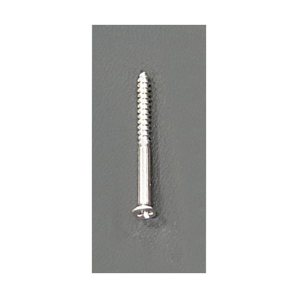 ●サイズ(mm)…2.0×16●入数…700本●材質…キルド鋼(焼入れ処理・ニッケルメッキ)●(＋)皿頭●木製ラック、木製パネル貼りなどの木工造作や金物の取付に。●堅い木材でもねじ込み時の折れや曲り等が少ないです。●ドライバーは#1をご使用...