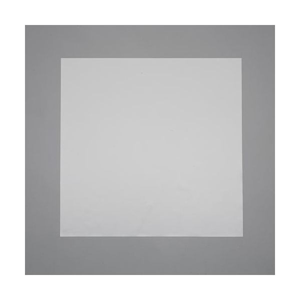 ●材質…シリコーンゴム●サイズ(mm)…500×500●厚み(mm)…5.0●硬度…50°●耐熱、耐寒性に優れています。類似商品はこちらエスコ EA997WB-42 直送 代引不可・12,672円エスコ EA997WB-2 500x 500...