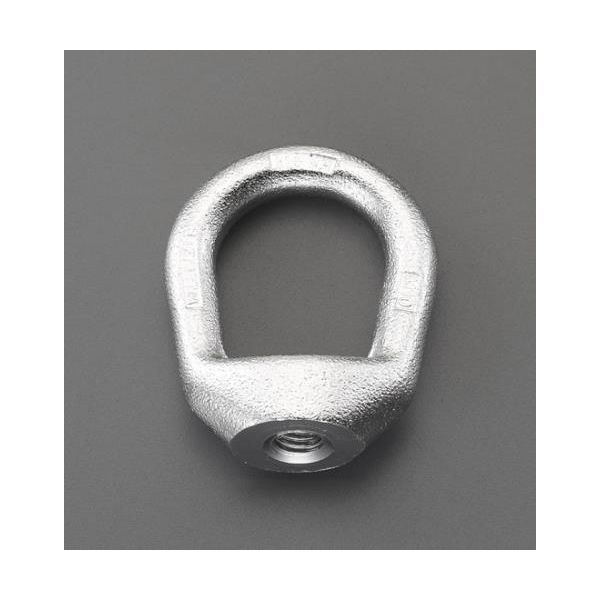 ●使用荷重(kg)…208●リング内径(mm)…19×27●リング線径(mm)…6.4●ねじ径…M6●材質…鍛造ステンレス(SUS316)●並目ねじ類似商品はこちらエスコ EA638SW-8 M 8 アイナット1,775円エスコ EA638...