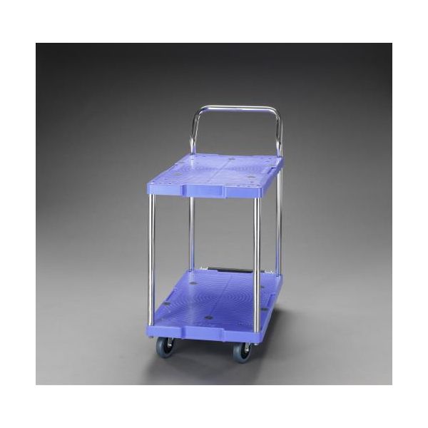 ●荷台サイズ…715×460mm●重量…16.2kg●荷台材質…ポリプロピレン●フットブレーキ付●積載均等耐荷重…150kg●床高さ…上段：695mm、下段146mm●押手高さ…915mm●車輪径…100mm(グレーゴム車)類似商品はこちら...