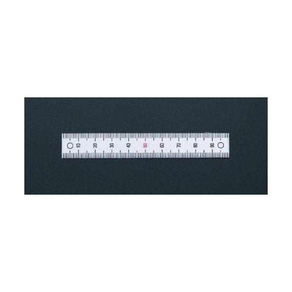 ●全長…100mm●目印マーク間…90mm●接着タイプ(シール式)●目盛読取方向…下●アルミ製類似商品はこちらエスコ EA948J-222 100mm 垂直609円エスコ EA948J-201 50mm 垂直 389円エスコ EA948J-...