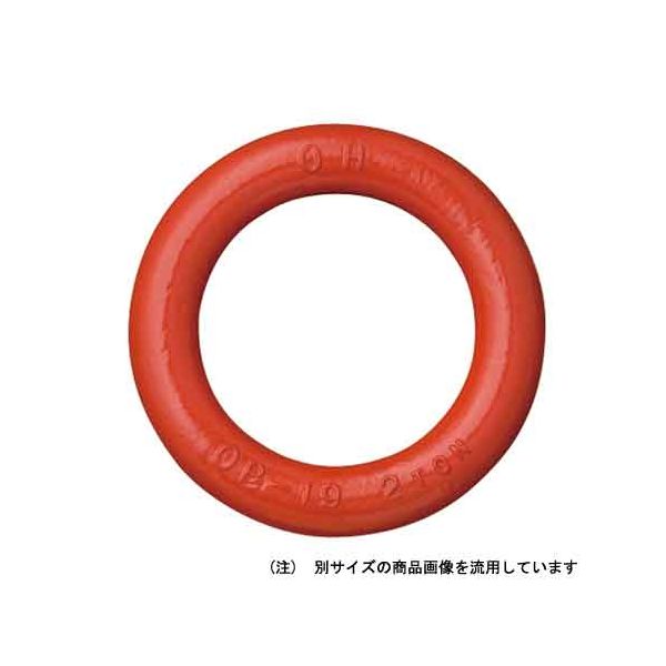 【商品説明】【用途】ワイヤーやスリングの束ね（親環）。【機能・特徴】鍛造品、熱処理済みで強く、粘りがあります。安全係数6です。【仕様】●使用荷重：750kg。●自重：0．2kg。【材質】●SCR440。作業工具 荷締機 スリング 補助具類似...