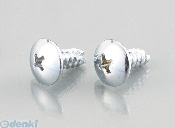 ●お取り寄せ商品のため、稀にご注文入れ違い等により欠品・遅延となる場合がございます。【商品説明】●汎用●2個入り●素材：スチール／カラー：クロームメッキ●十字穴付トラス小ネジ／2種（先の尖っていない）溝付タッピングビス●○寸法●A：Φ5／B...